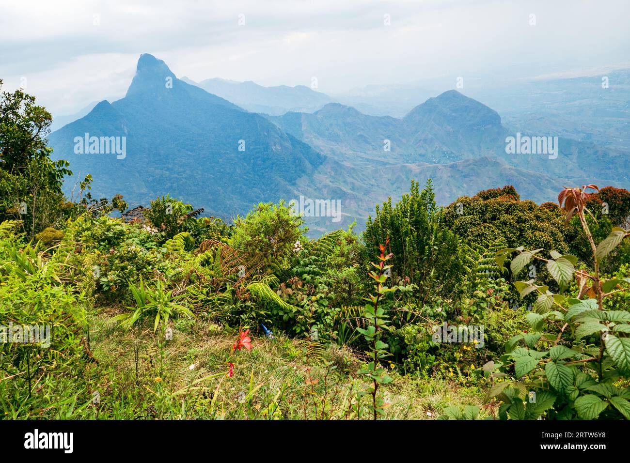 Scenic view of mountain landscapes seen from Bondwa Peak in Uluguru ...