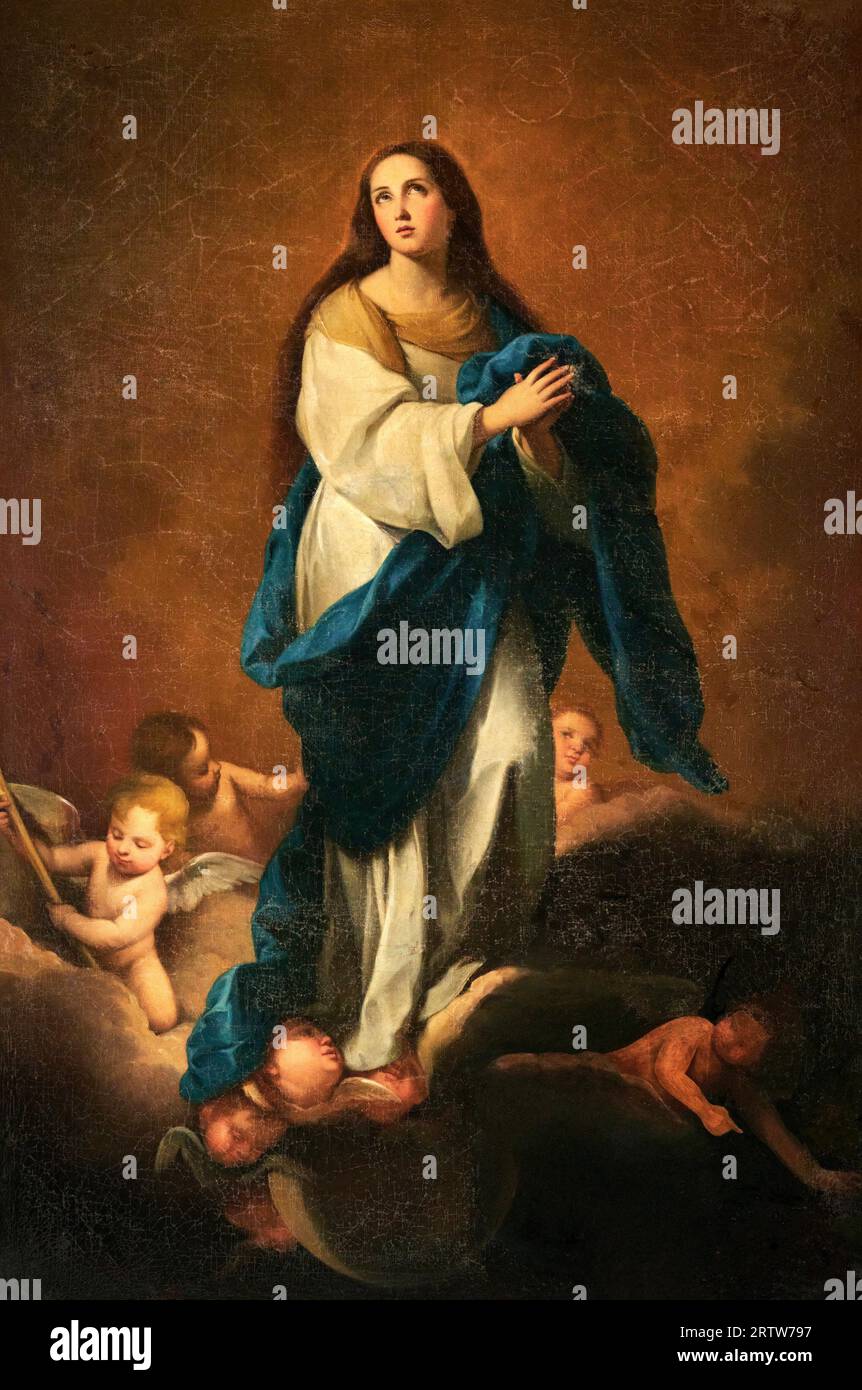 Madonna Assunta - olio su tela - Giuseppe Nicola Nasini - fine del XVII ...