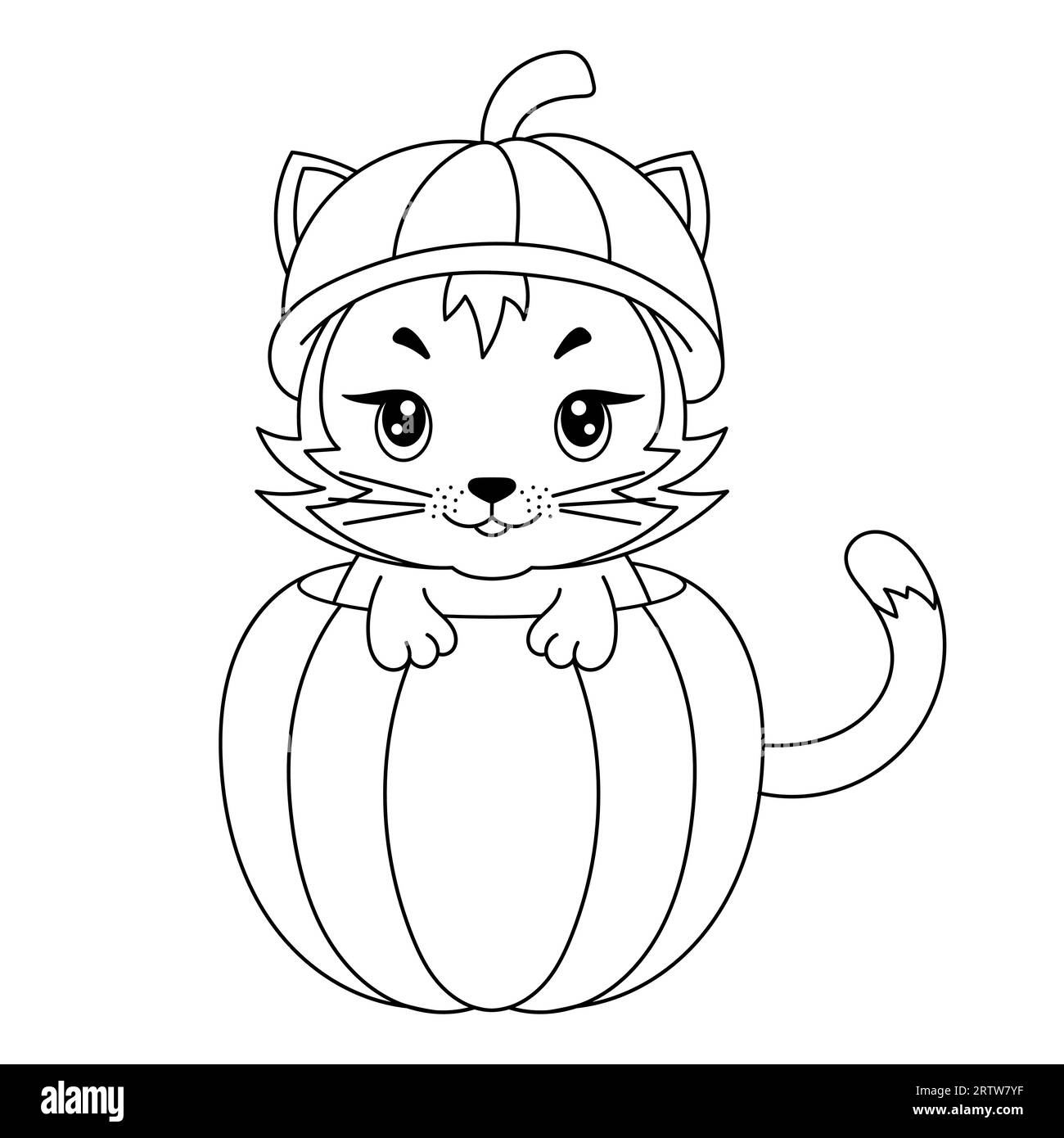 Halloween Black Cat Coloring Pages