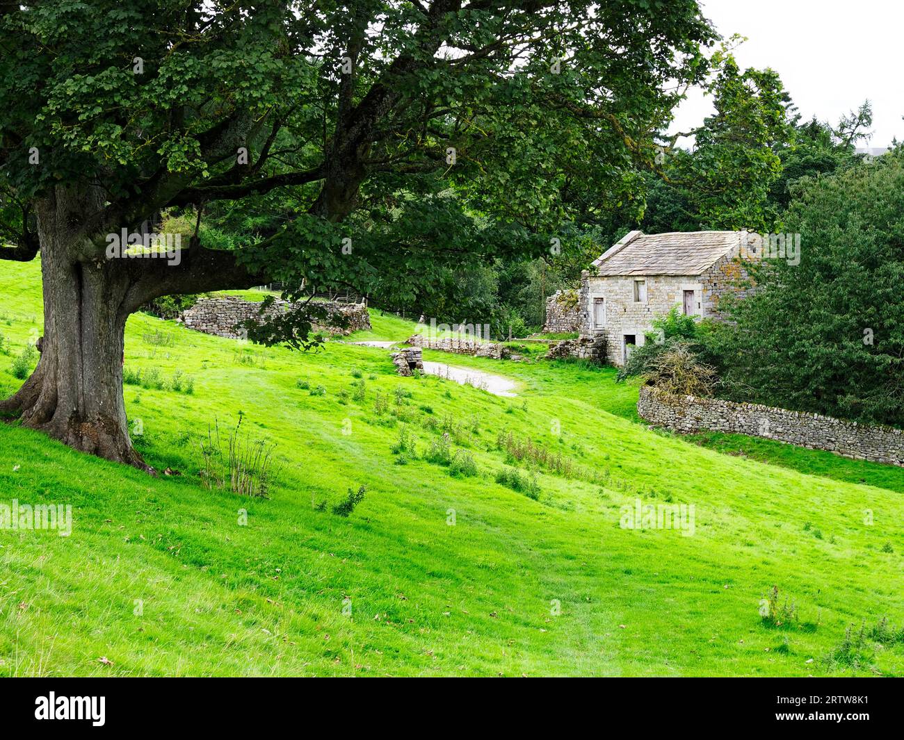 Studfold farm hi-res stock photography and images - Alamy