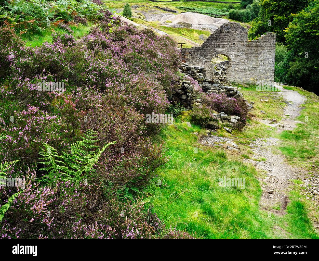 Ruins of Prosperous Smelt Mill on the Nidderdale Way near Pateley ...