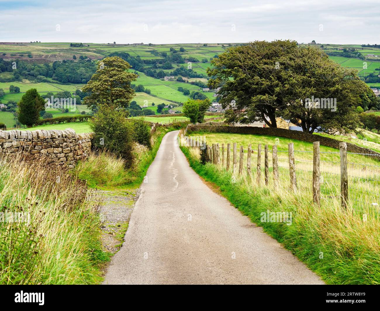 The Nidderdale Way heading along the lane towards Bewerley near Ladies ...