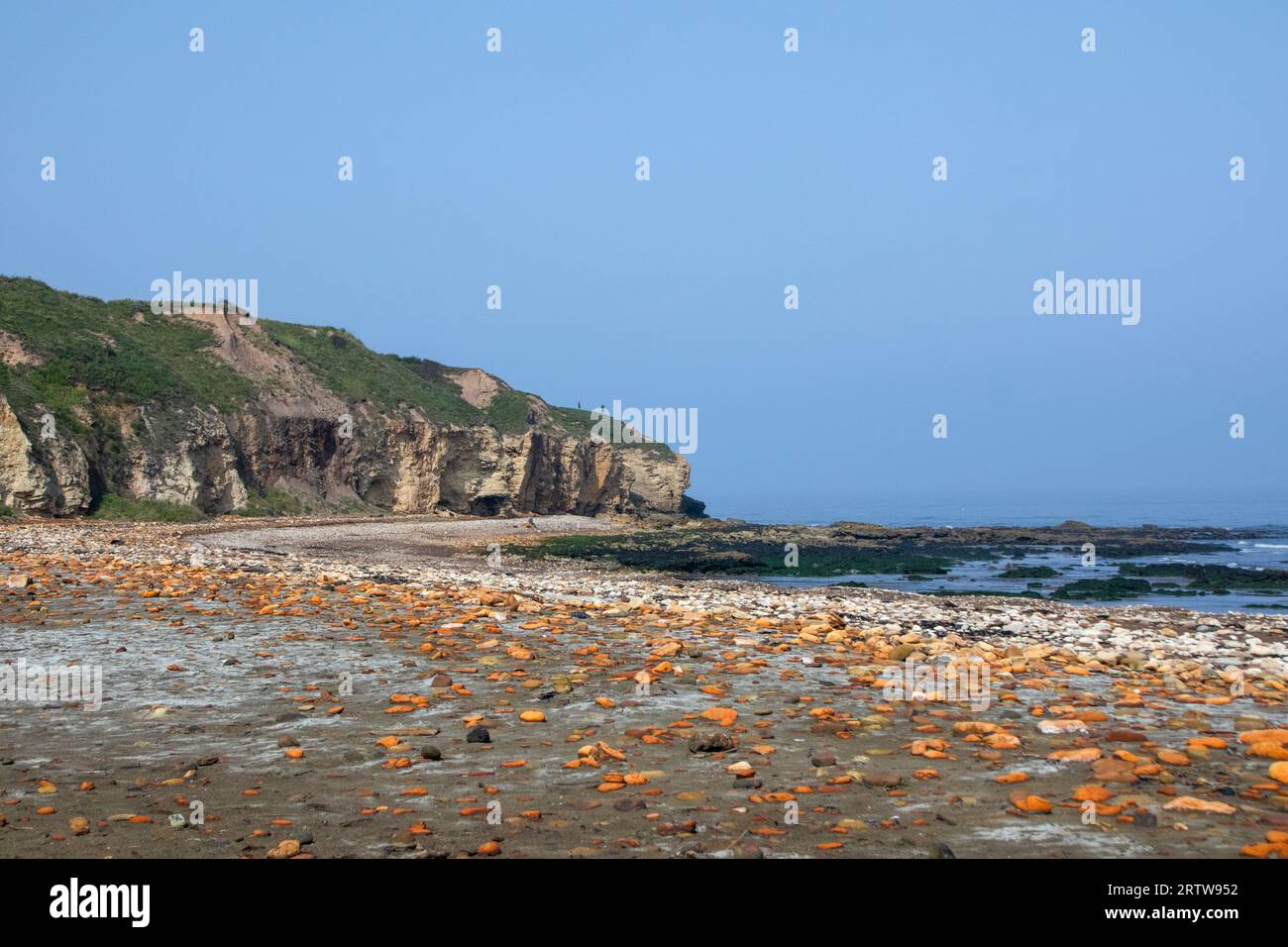 Blackhall rocks beach hi-res stock photography and images - Alamy