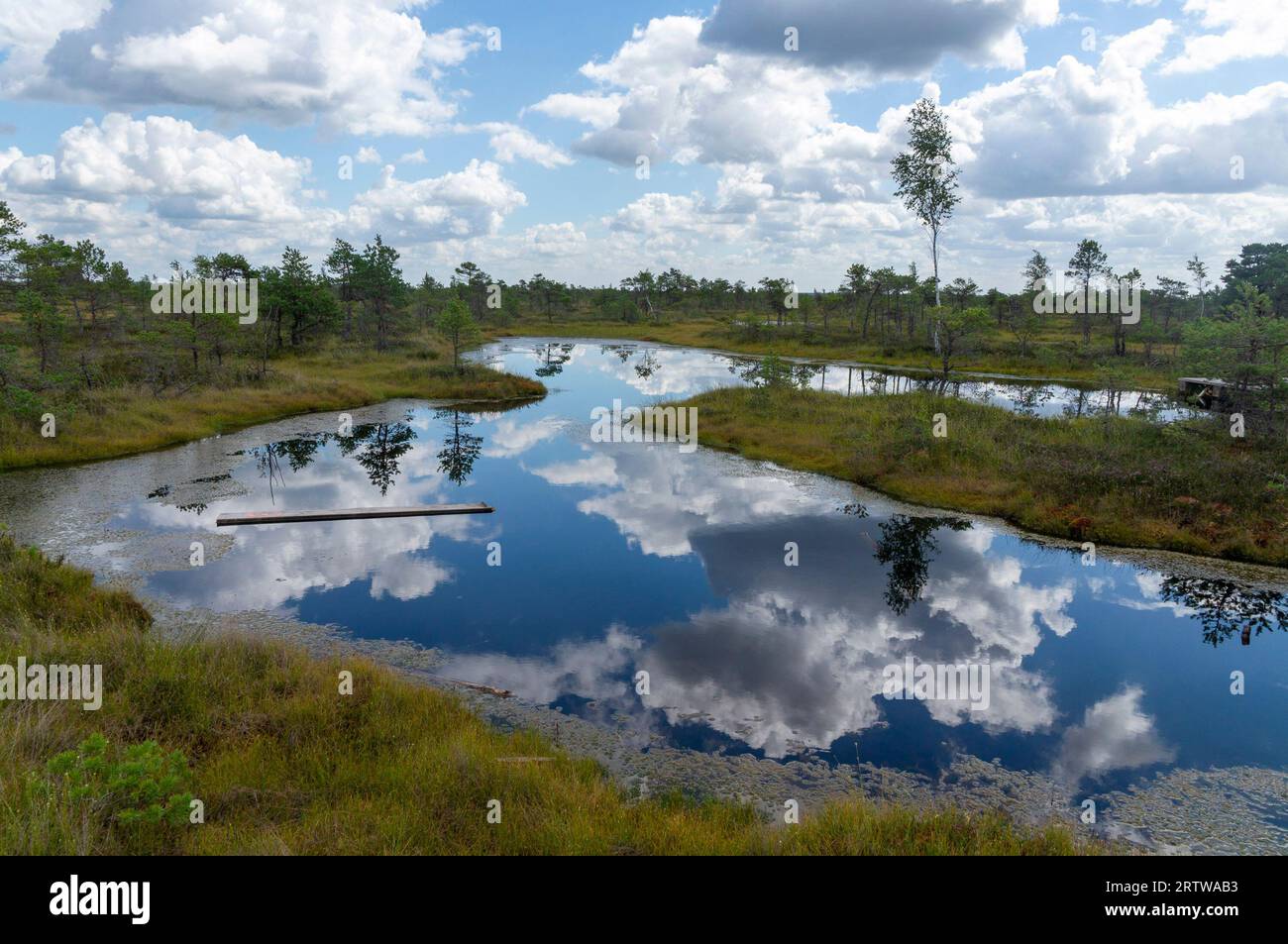 The Great Kemeri Bog Boardwalk, Kemeri National Park Stock Photo - Alamy