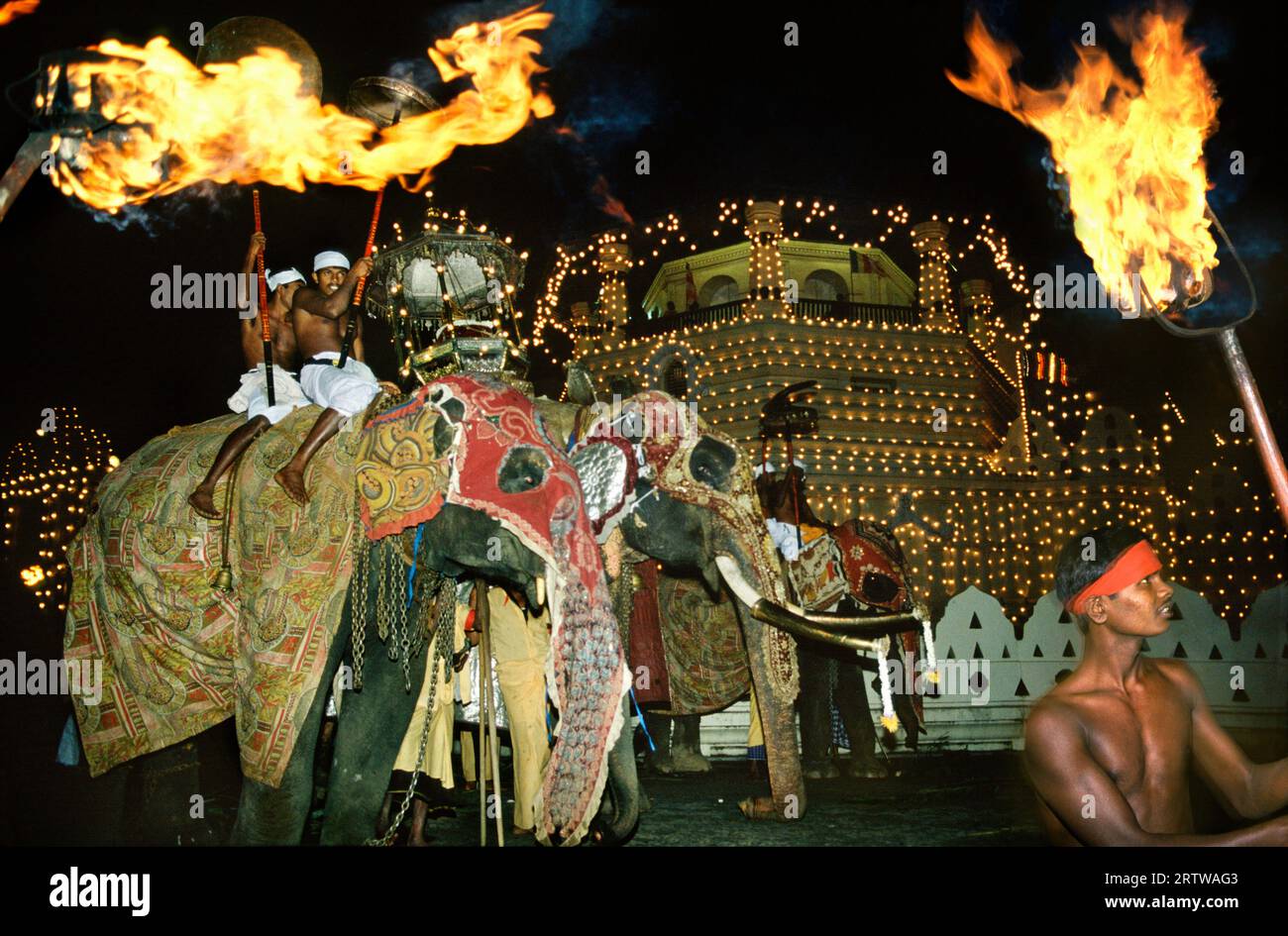 Elephants, Kandy Palace, Perahera buddhist festival Stock Photo - Alamy