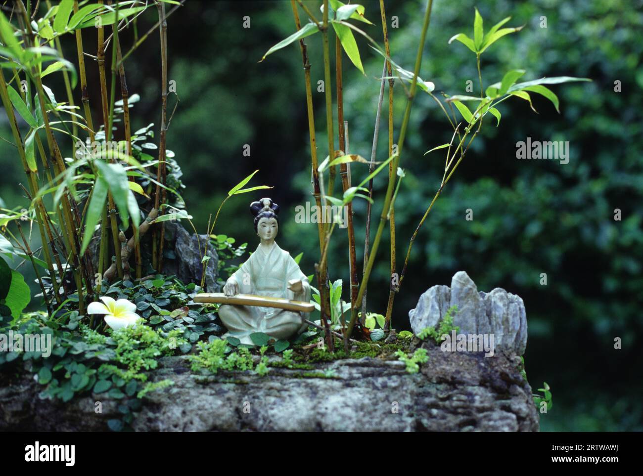 Ioc image hi-res stock photography and images - Alamy