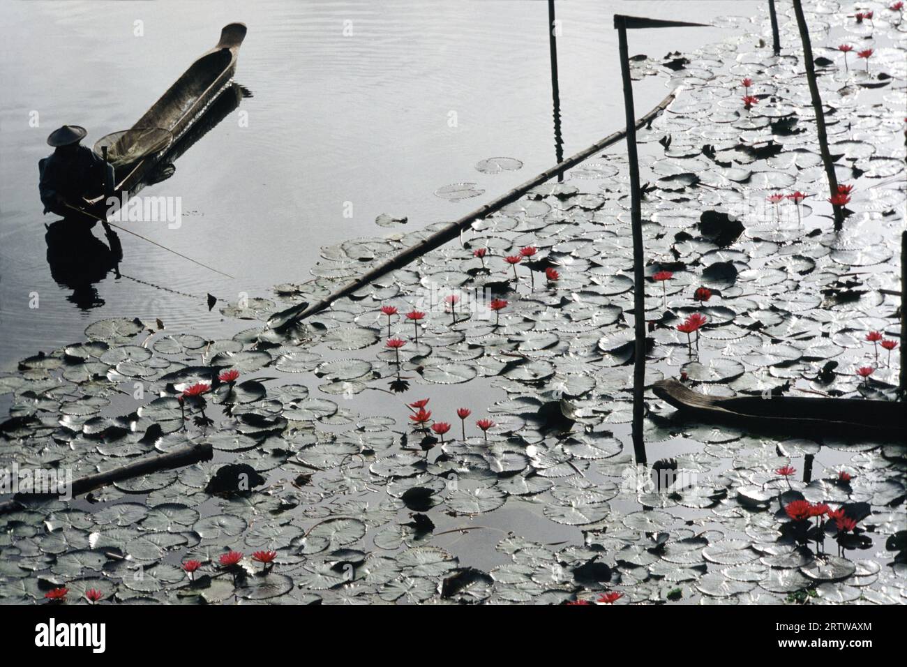 Tboli man on Lake Sebu Stock Photo - Alamy