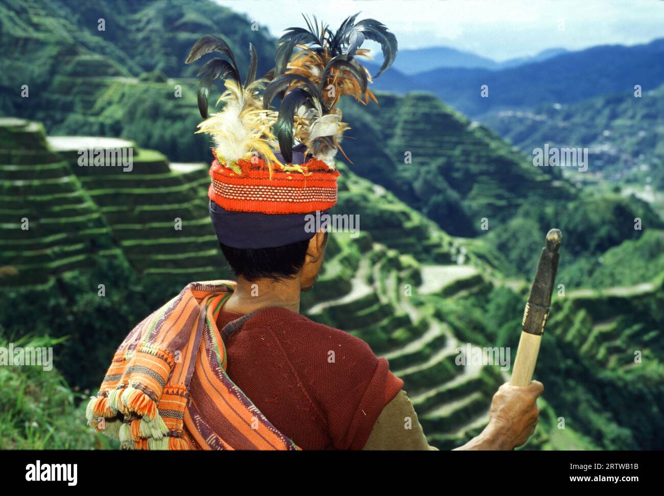 Ifugao warrior - rice terraces Stock Photo - Alamy