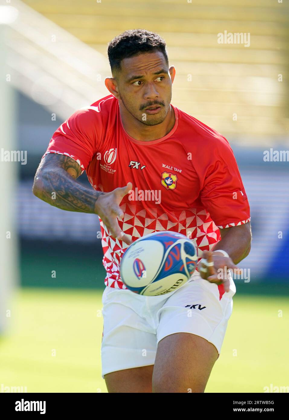 Tonga ampics hi-res stock photography and images - Alamy