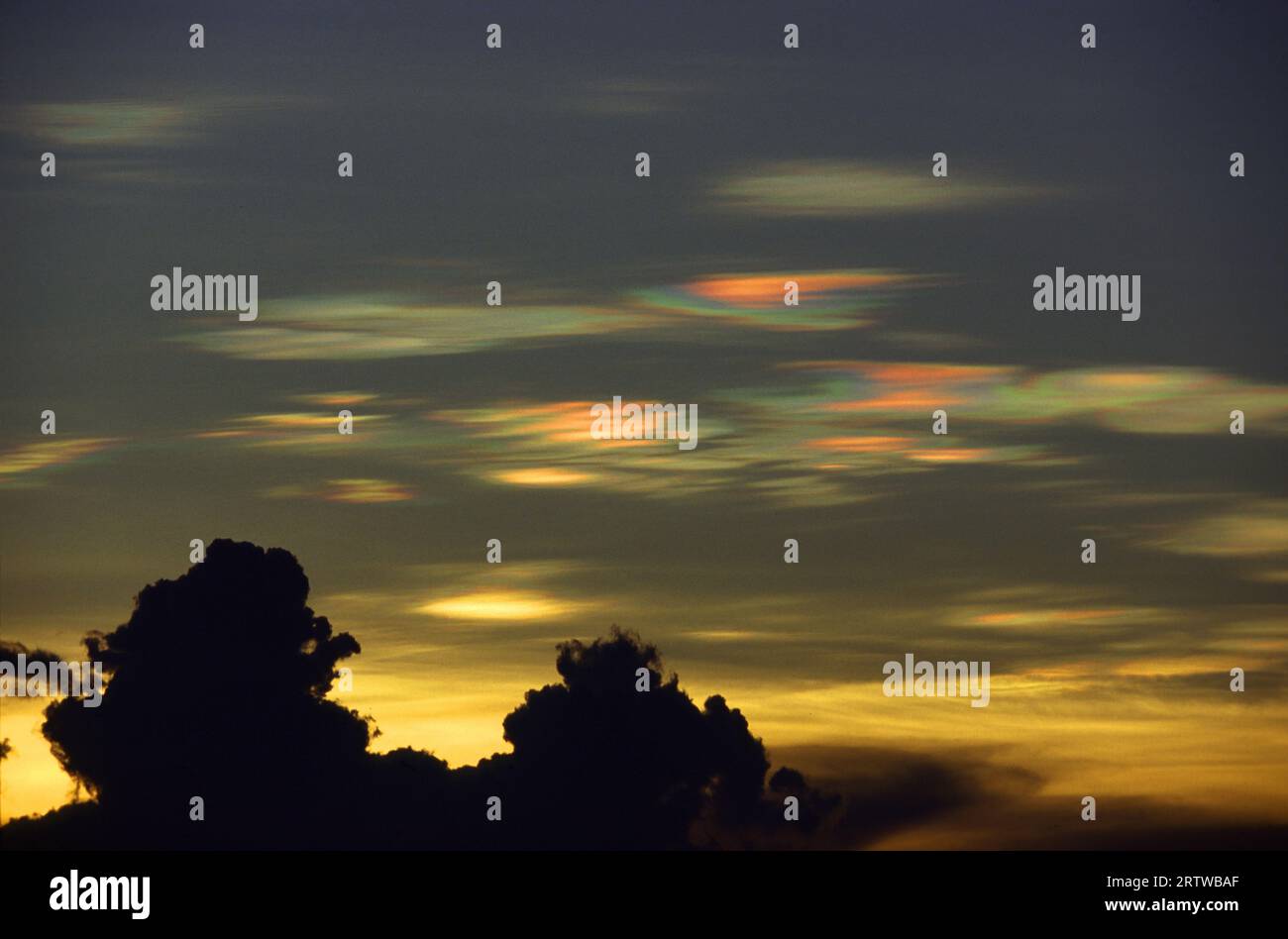 Mother of Pearl clouds (Perlmuttwolken) high over thunder clouds Stock ...