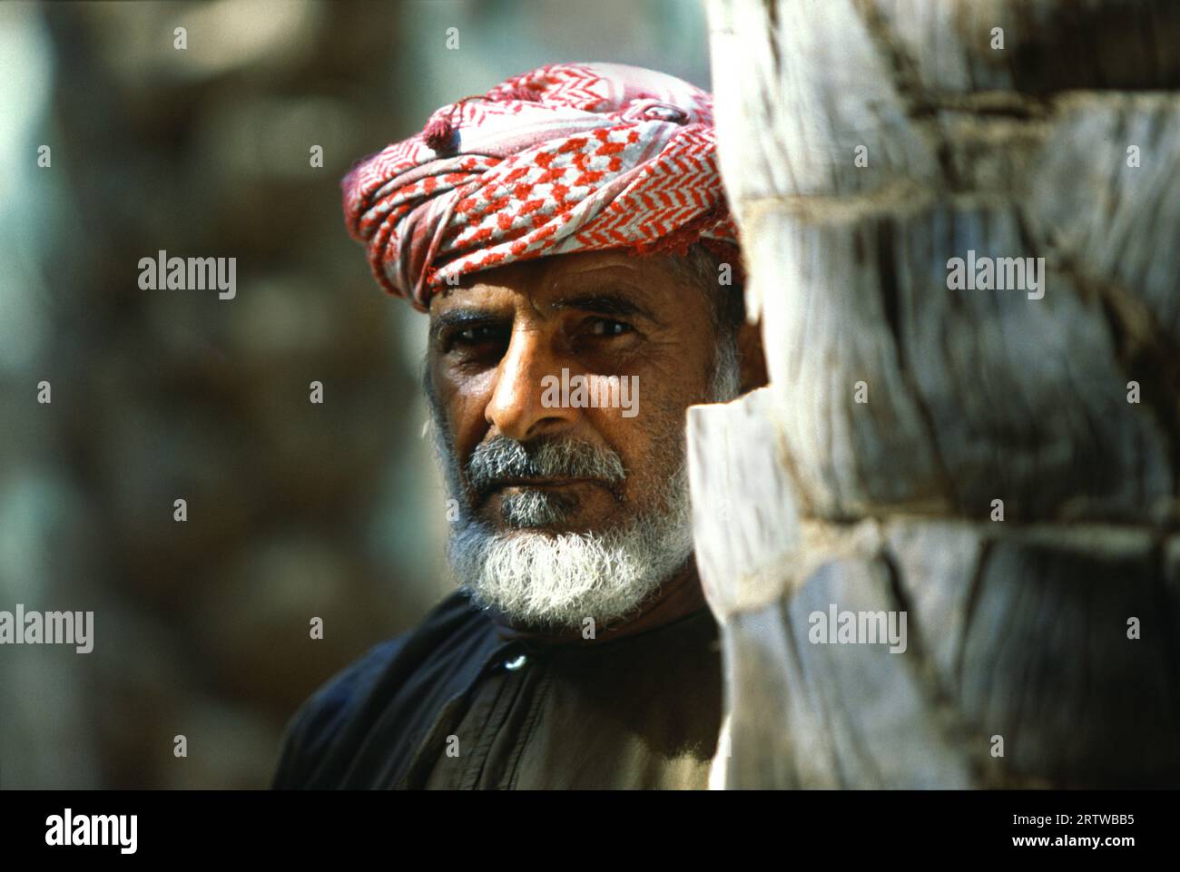 Omani in Wadi Shab oasis Stock Photo - Alamy