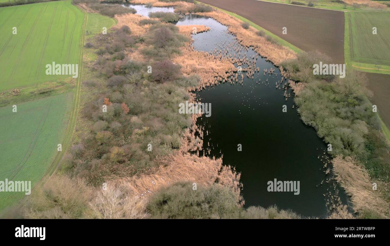 Aerial video of a body of water surrounded by fields and reeds with ...