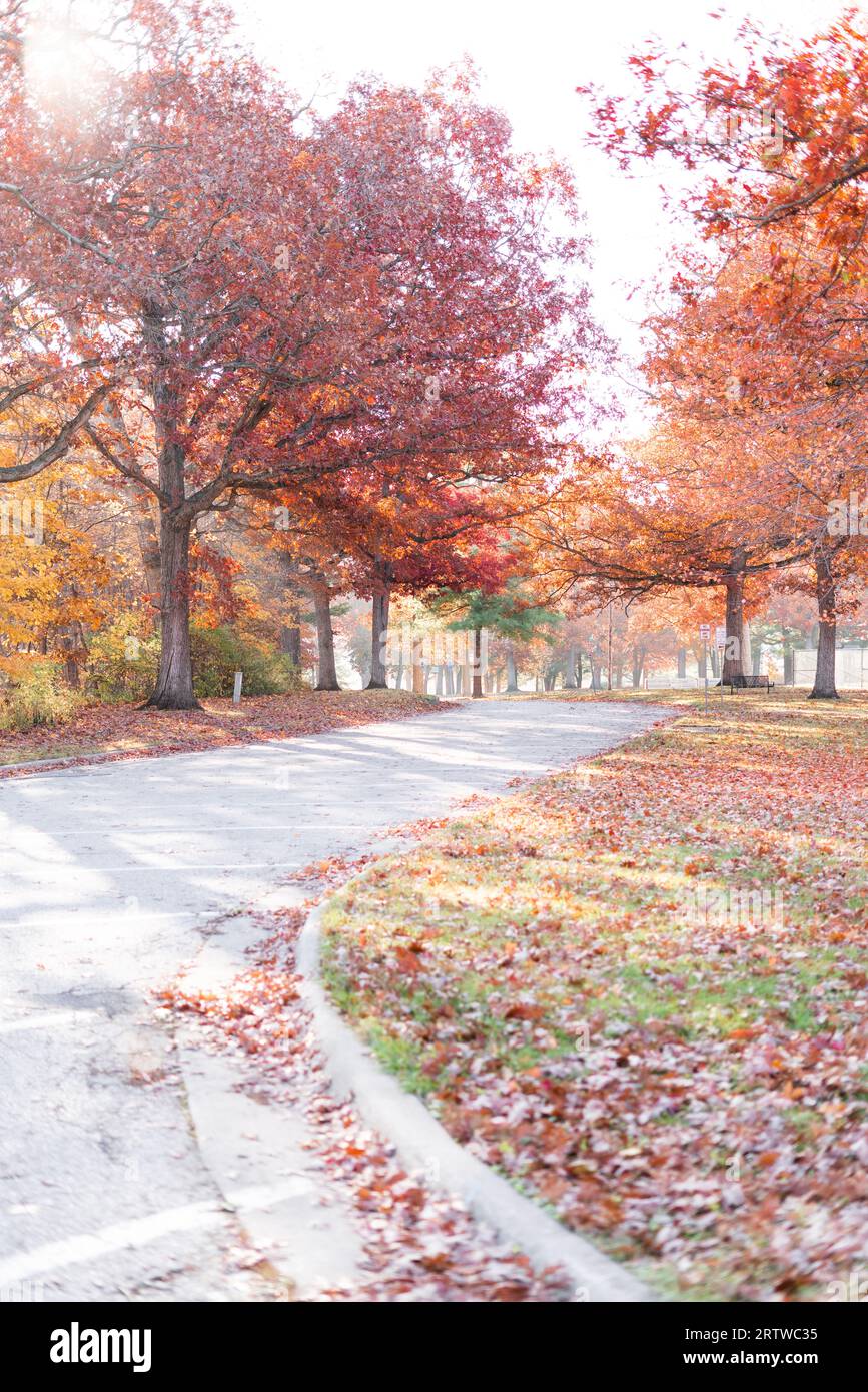 A scenic driving route through autumn leaves in iowa Stock Photo - Alamy