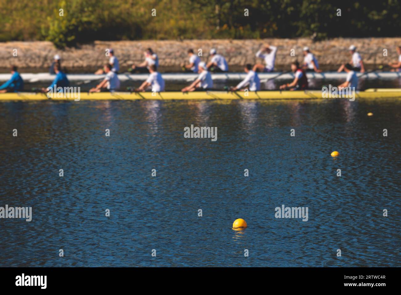 Group of rowing team athletes sculling during competition, kayak boats ...