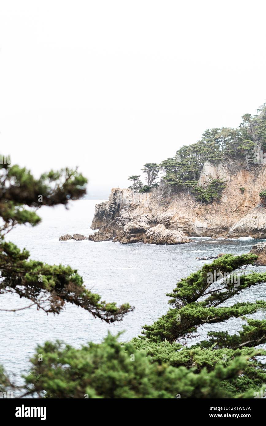 A peek at the pacific ocean through the trees in point lobos cal Stock ...