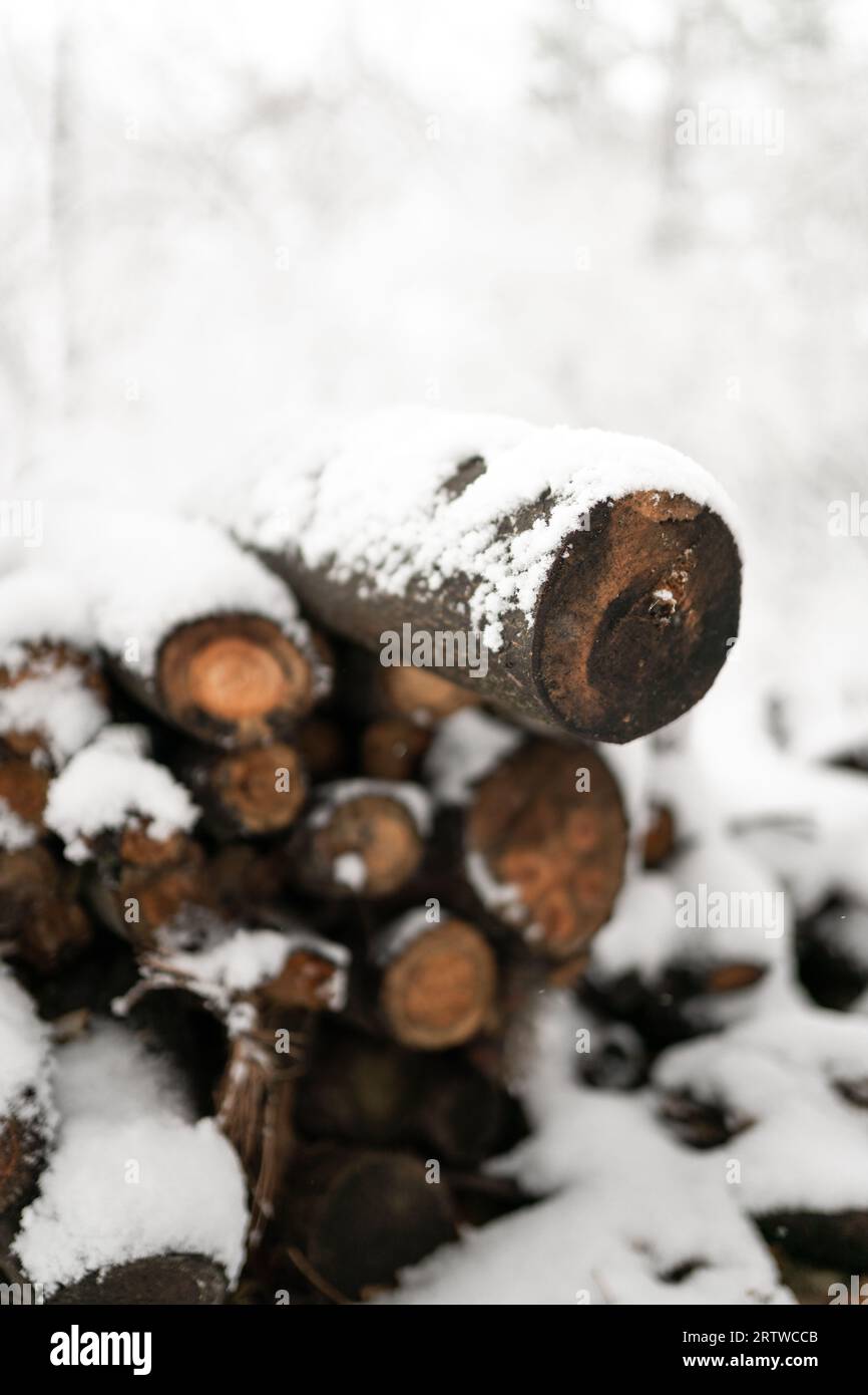 A stack of firewood covered in snow in winter Stock Photo - Alamy