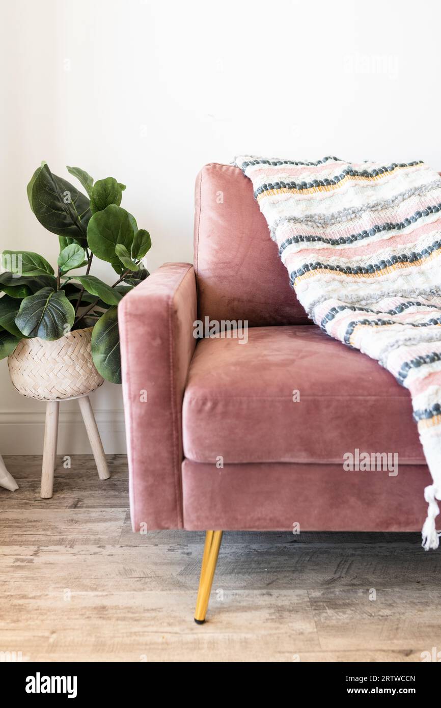 A living room with a pink velvet couch, fuzzy blanket, and potte Stock ...