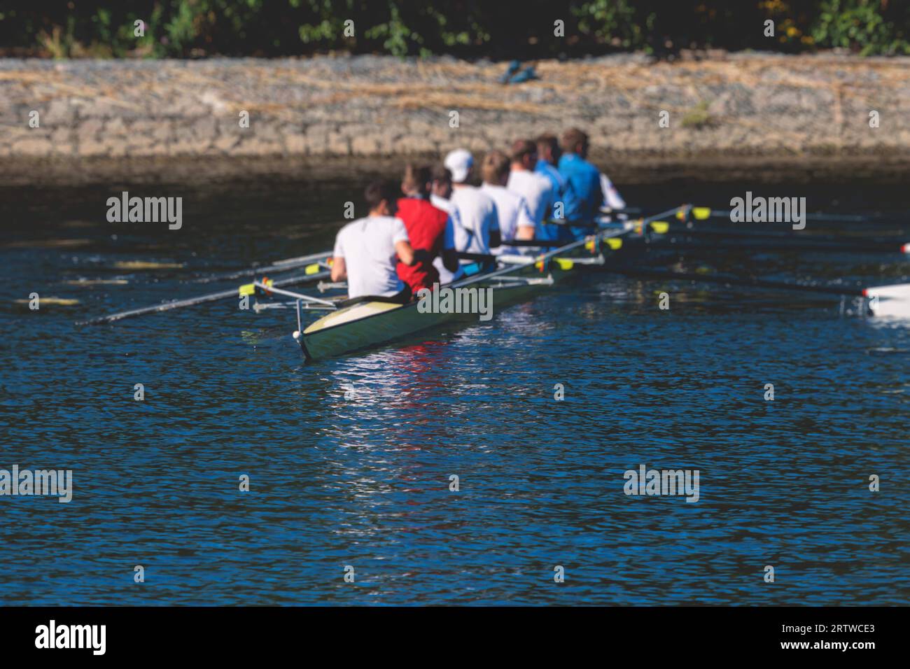 Group of rowing team athletes sculling during competition, kayak boats ...