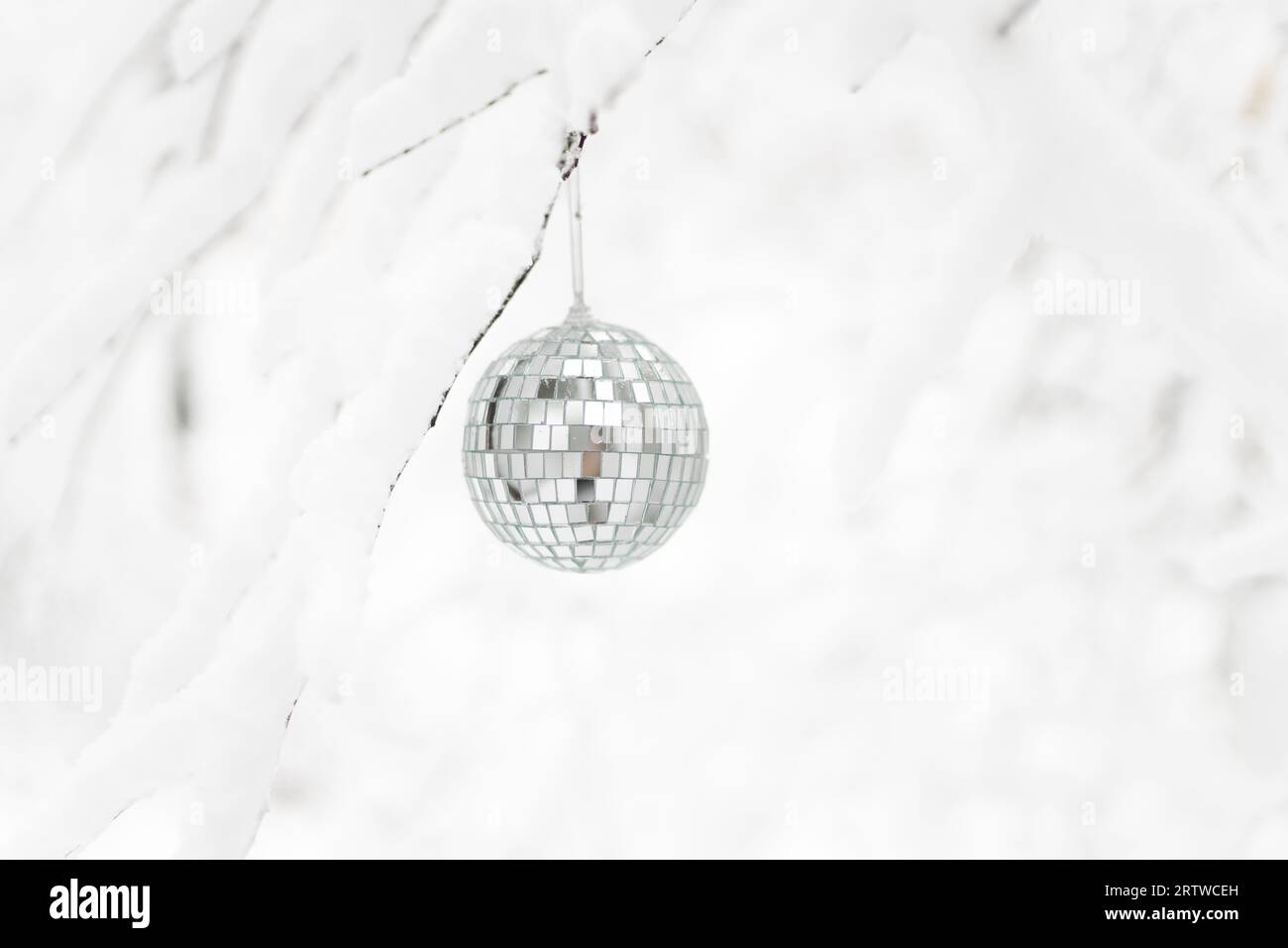 A disco ball hanging on a snowy tree branch Stock Photo - Alamy