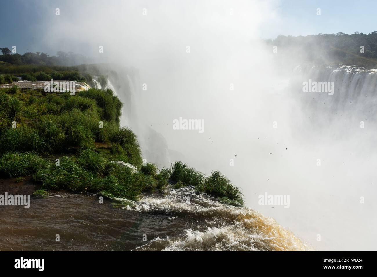 Beautiful view to strong waterfalls in the Iguassu Falls Stock Photo ...