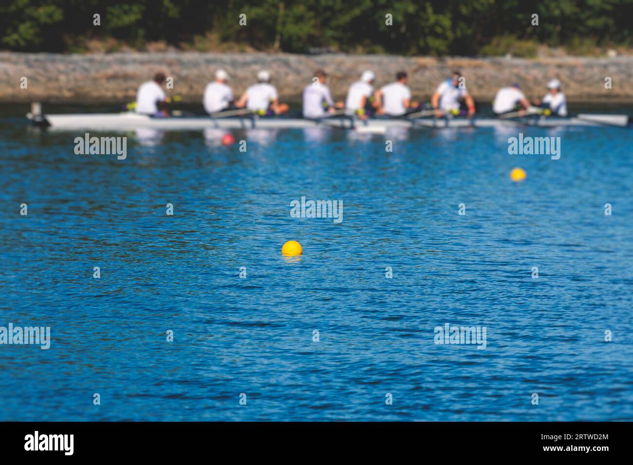 Group of rowing team athletes sculling during competition, kayak boats ...
