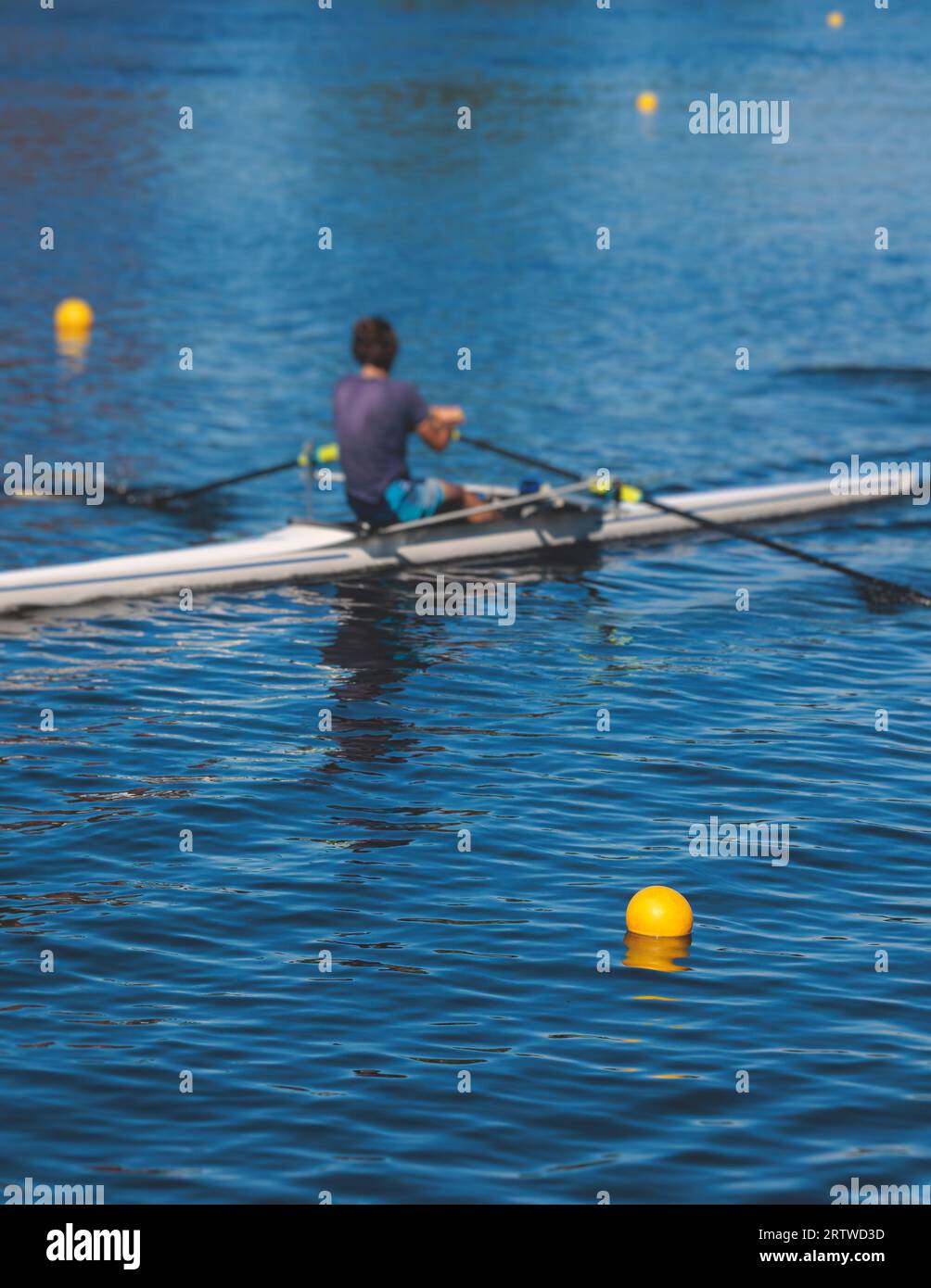 Group of rowing team athletes sculling during competition, kayak boats ...
