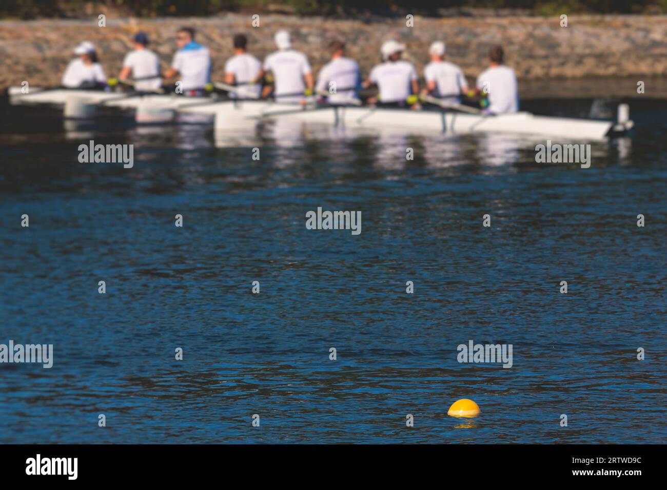 Group of rowing team athletes sculling during competition, kayak boats ...