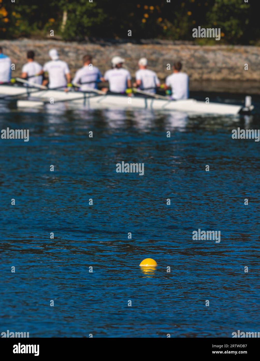 Group of rowing team athletes sculling during competition, kayak boats ...