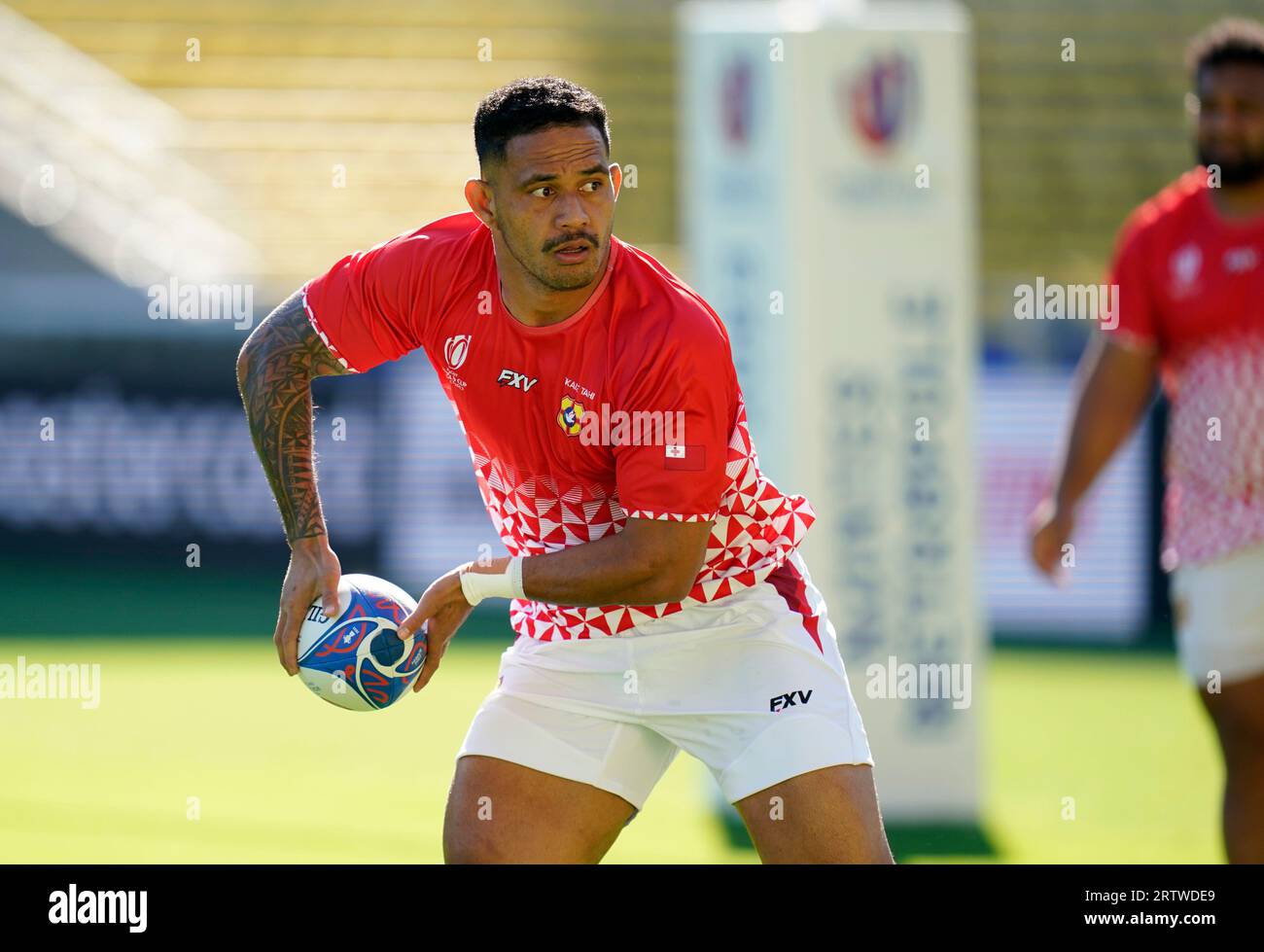 Tonga ampics hi-res stock photography and images - Alamy