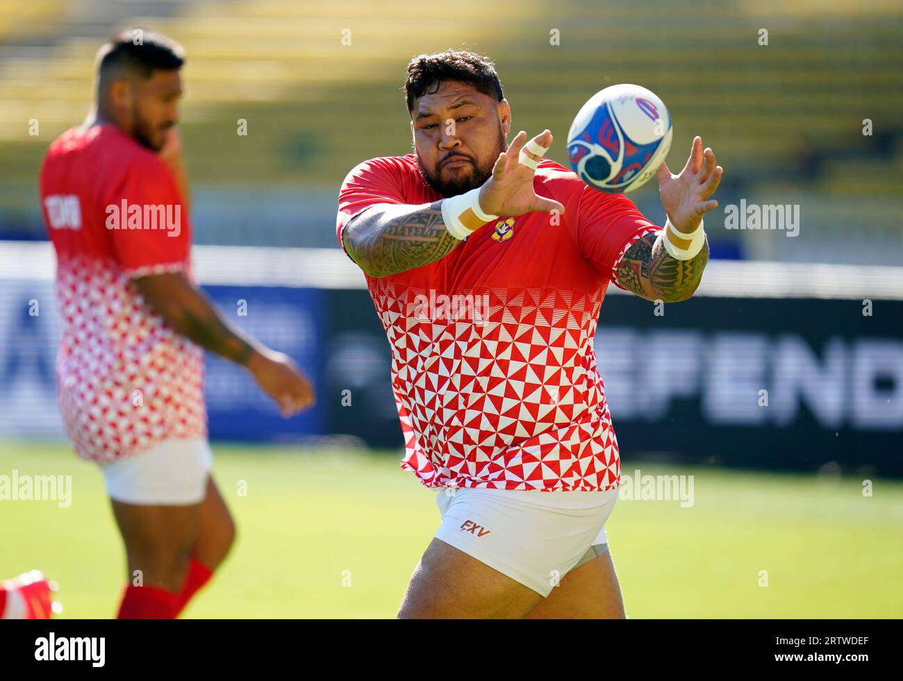 Tonga ampics hi-res stock photography and images - Alamy