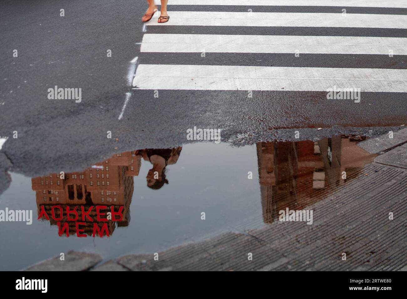 New Yorker reflected in standing street water puddle Stock Photo - Alamy