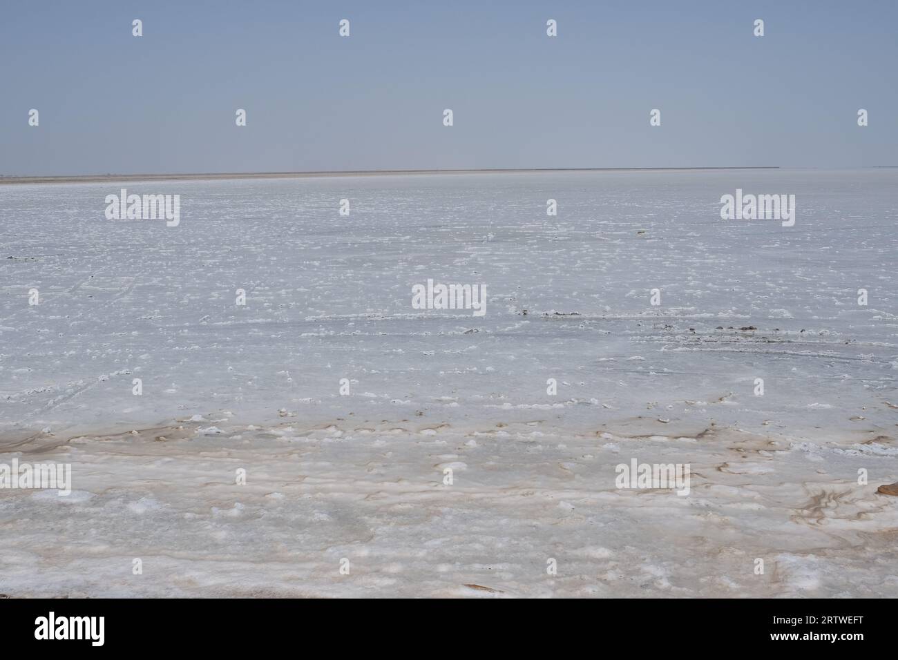 Salt water in sea beach, Gujarat, India Stock Photo - Alamy