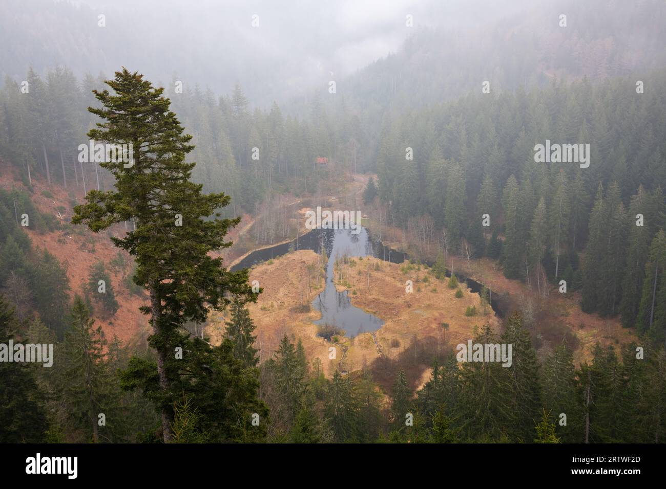Nationalpark Schwarzwald, Black Forest National Park in Baden ...