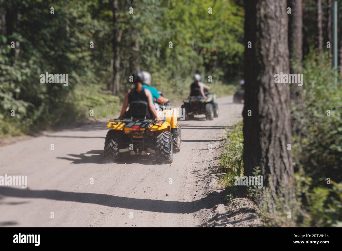 Group of riders riding ATV vehicle crossing forest rural road, process ...