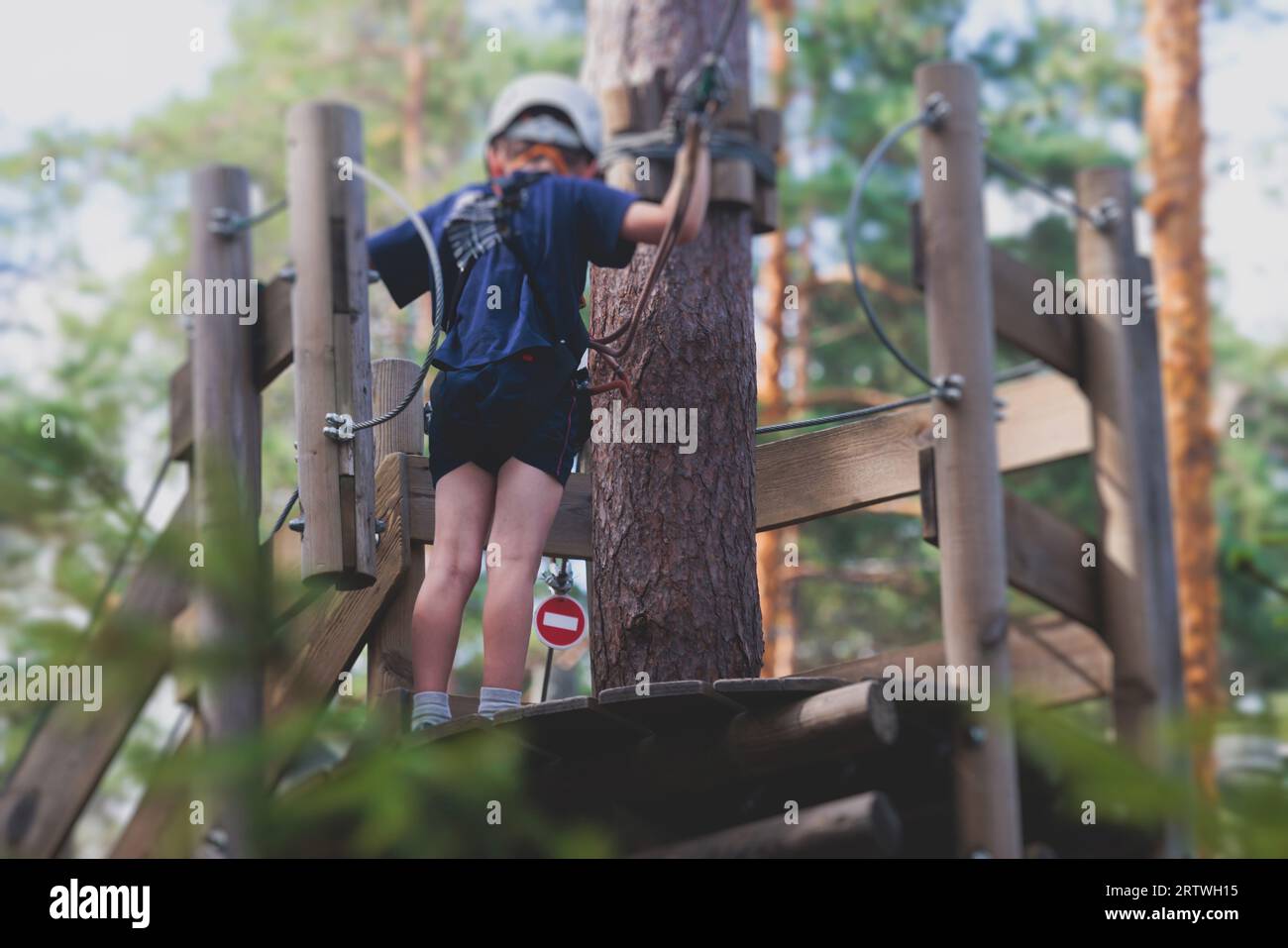 View of high ropes course, kids of climbing in amusement acitivity rope ...