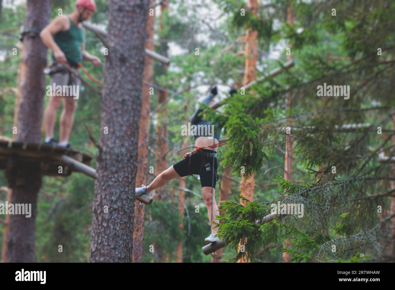 View of high ropes course, process of climbing in amusement acitivity ...