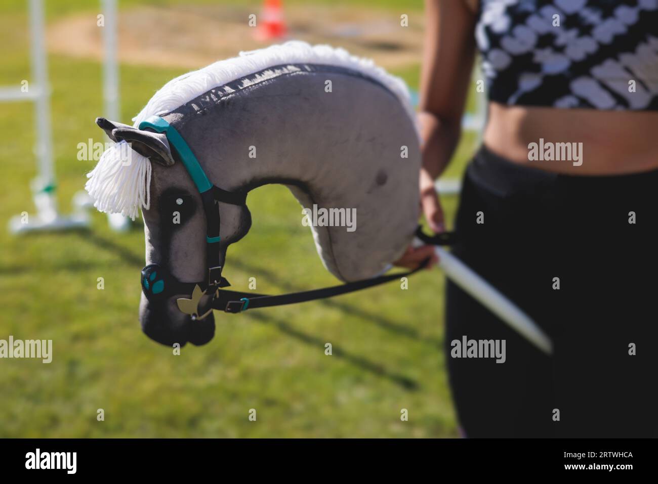 Hobby horse finland hi-res stock photography and images - Alamy
