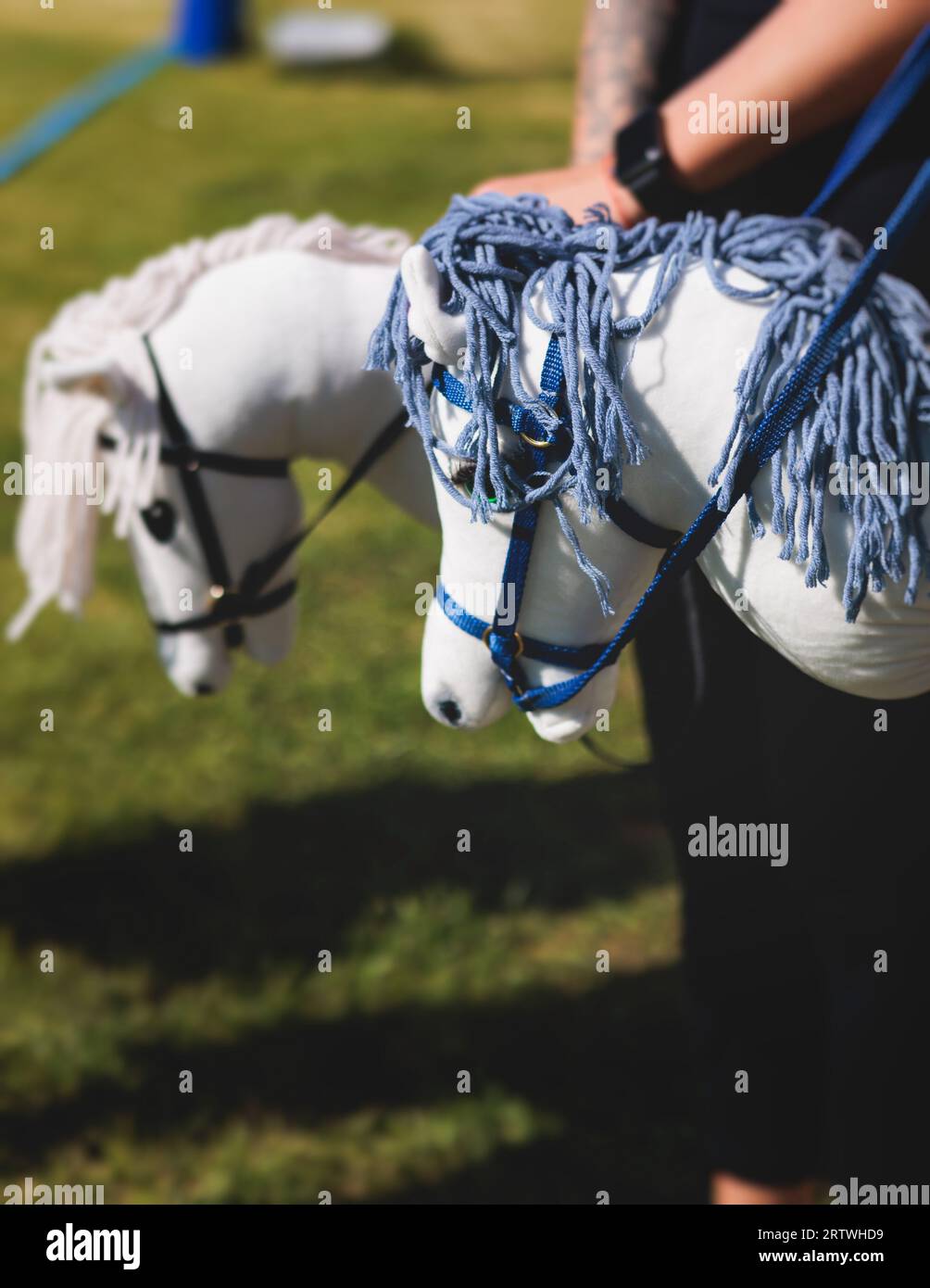 Hobby horse finland hi-res stock photography and images - Alamy