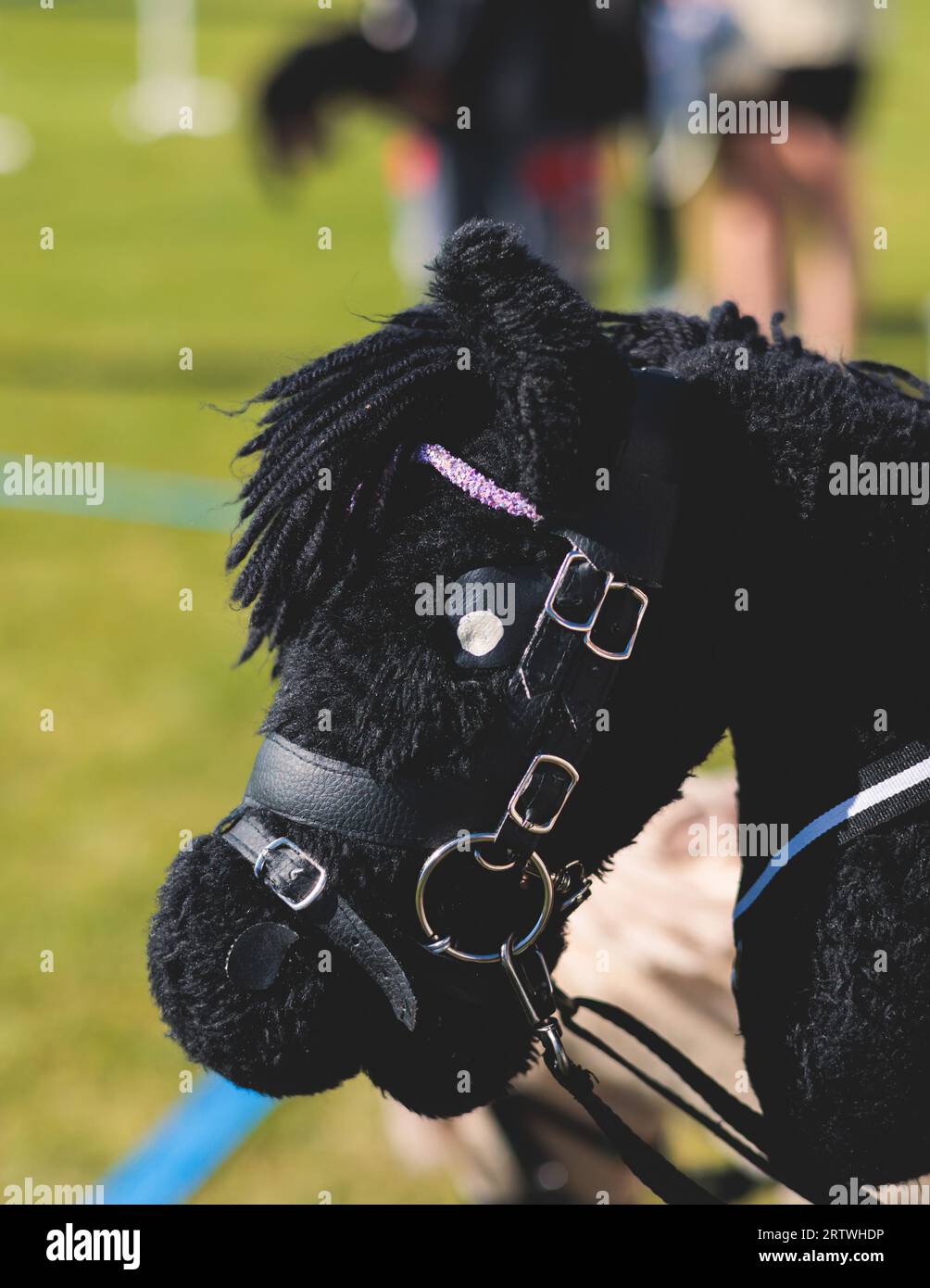 Hobby horsing competition on a green grass, hobby horse riders jumping ...