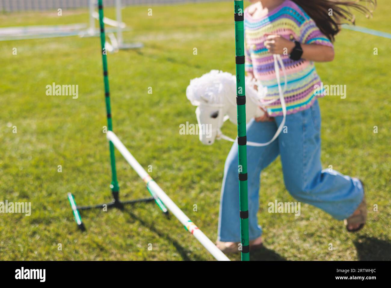 Hobby horsing competition on a green grass, hobby horse riders jumping ...