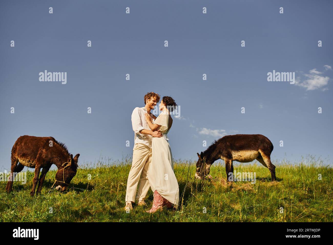 Donkeys couple hi-res stock photography and images - Alamy