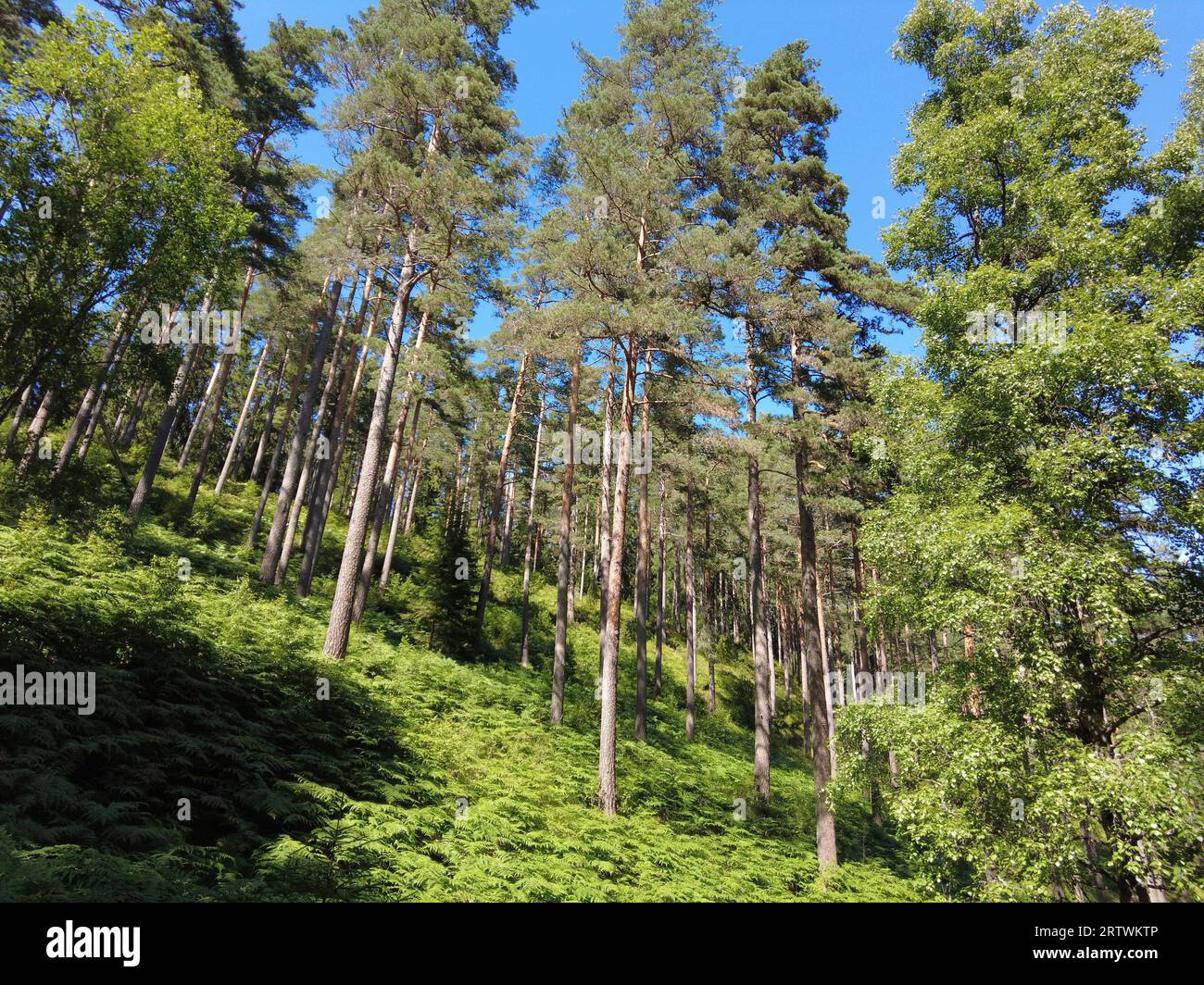Death pit hi-res stock photography and images - Alamy