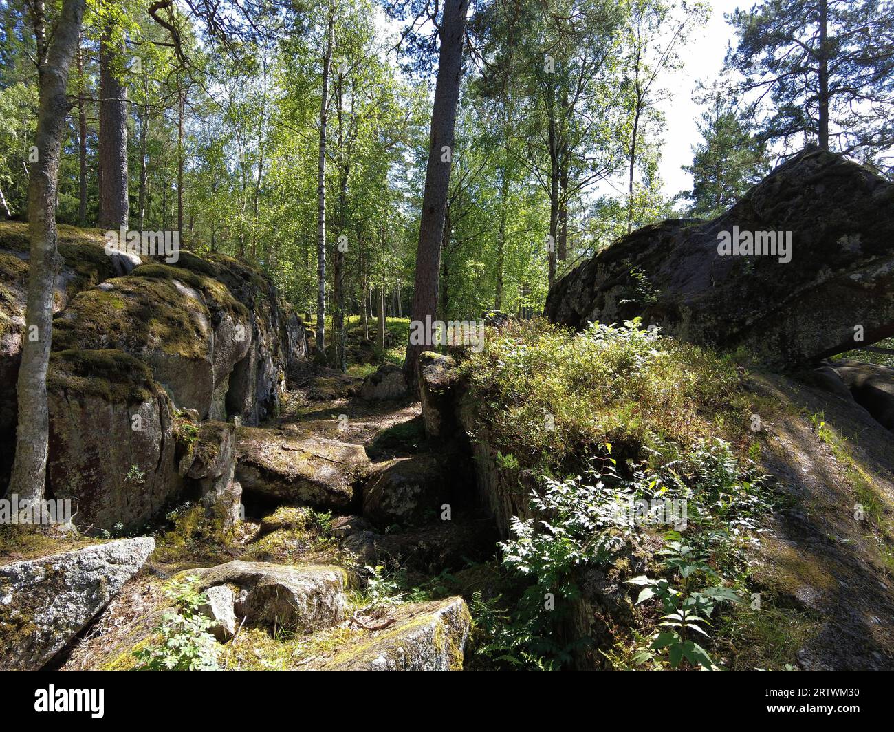 Bunker path hi-res stock photography and images - Alamy
