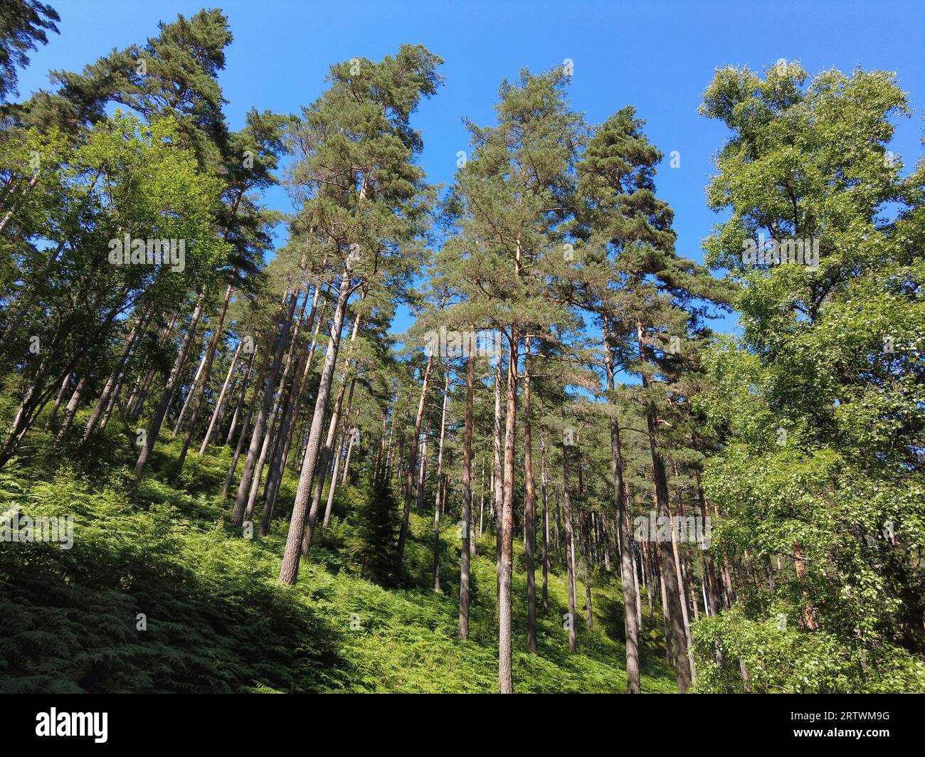 Death pit hi-res stock photography and images - Alamy