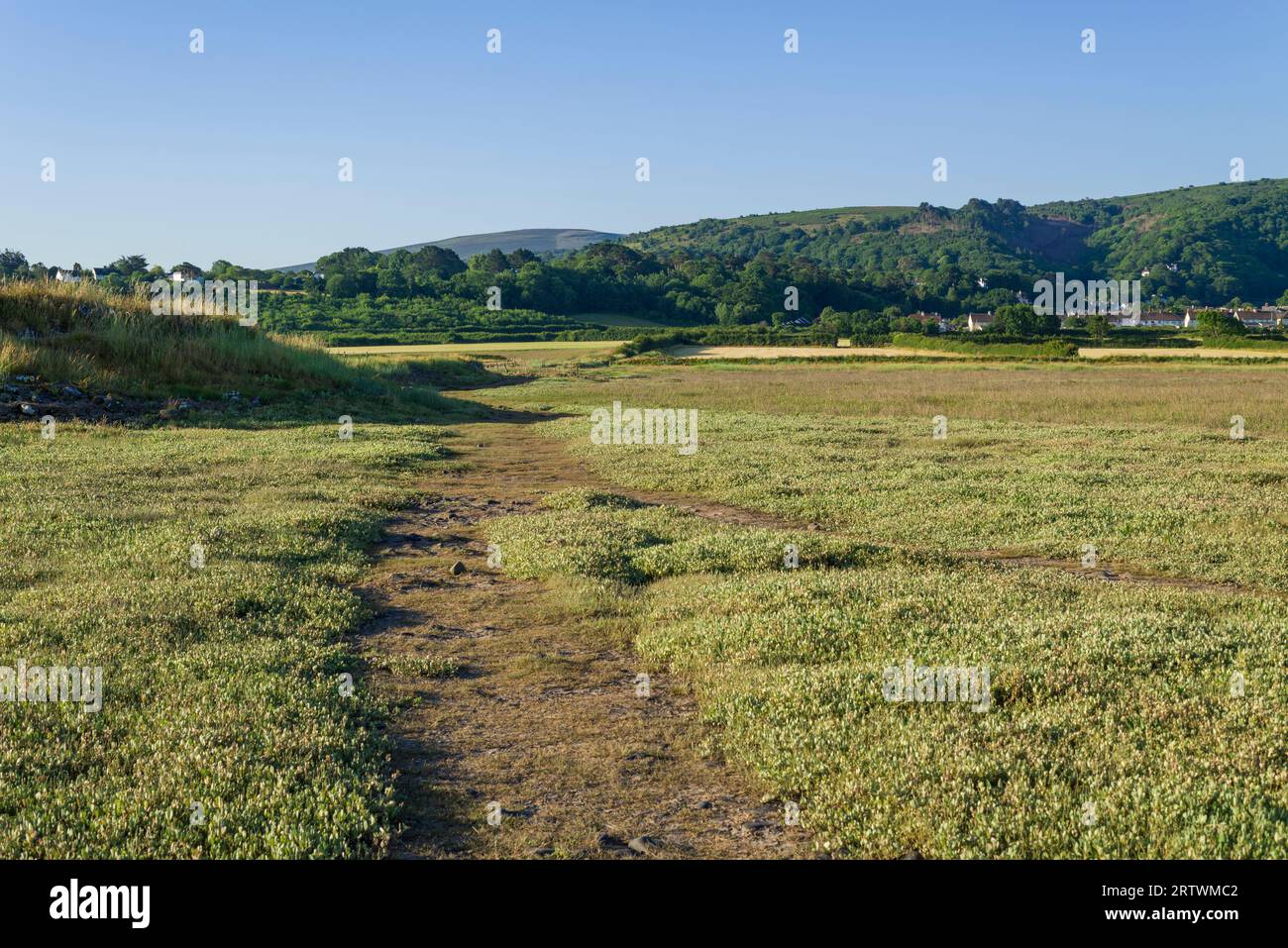 A footpath at Porlock Marsh in Exmoor National Park, Somerset, England ...