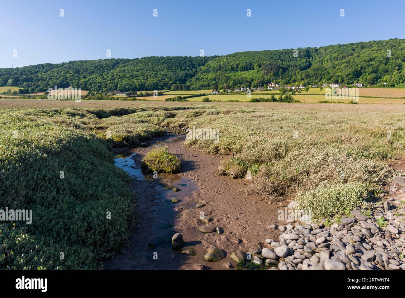 A creek in Porlock Marsh on the Exmoor National Park coast along the ...