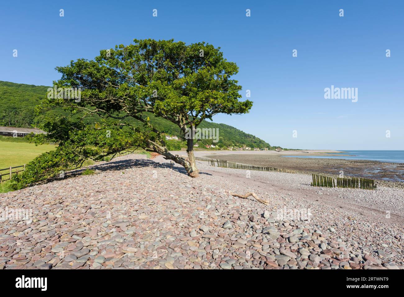 The pebble ridge at Porlock Beach on the Exmoor National Park coast ...