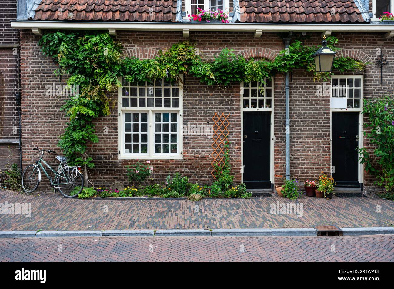 House in row hi-res stock photography and images - Alamy