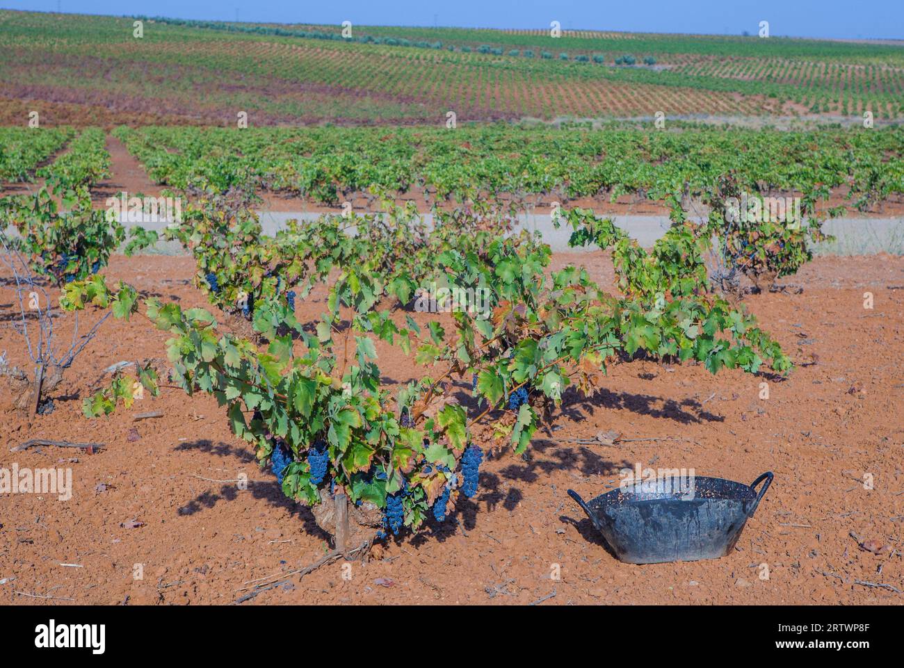 Bucket of clay hi-res stock photography and images - Alamy