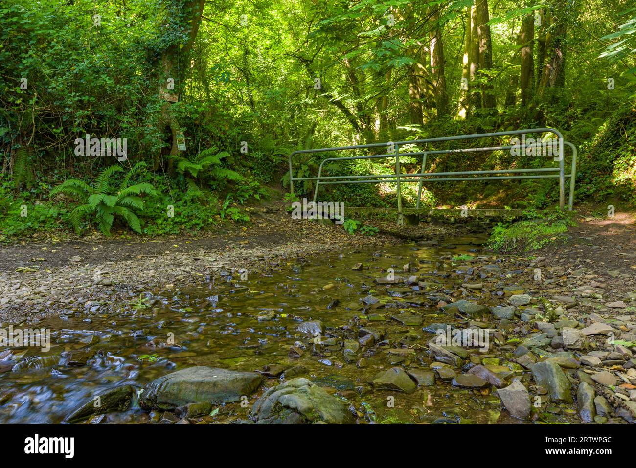 A footbridge and ford over a stream in woodland at Porlockford in the ...